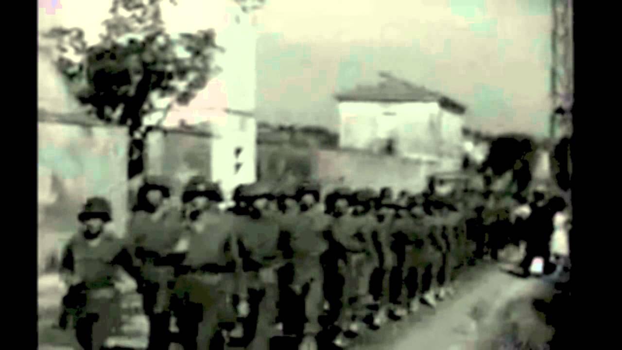 442nd Regimental Combat Team - YouTube
