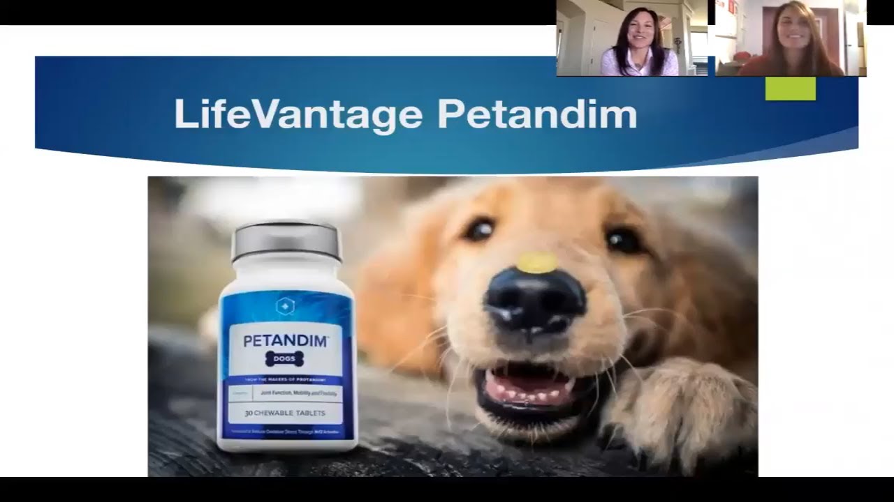 Petandim for your dog. - YouTube