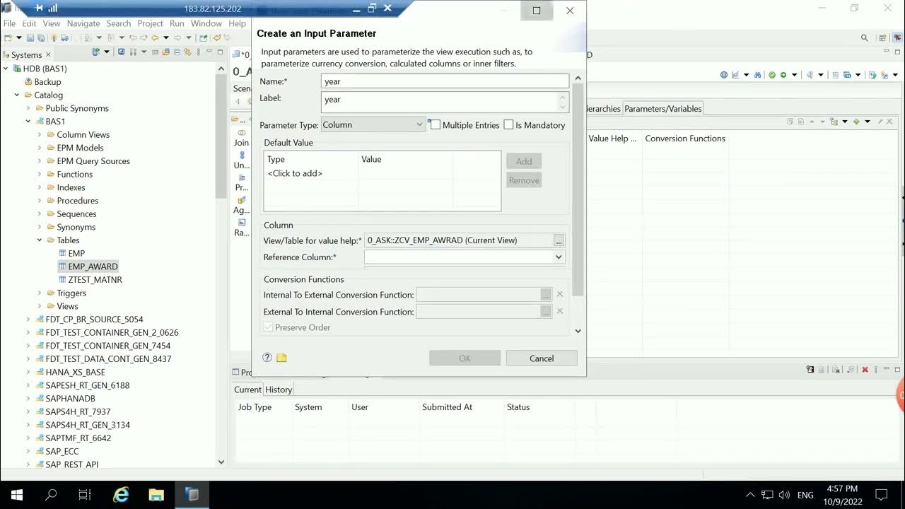 input parameters in hana view - YouTube