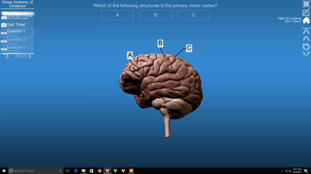 VIVED Anatomy for zSpace Tutorial 3 - Viewing - YouTube