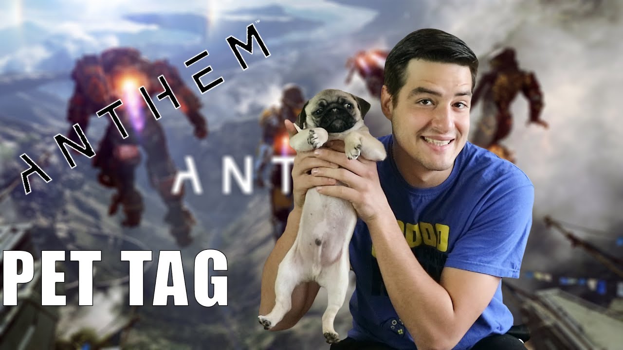 ГРИШО ИГРАЕ "ANTHEM" ! PET TAG - YouTube