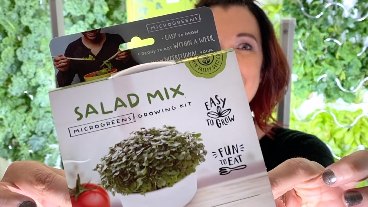 HOW TO USE MICROGREEN BOWLS FROM TRUE LEAF MARKET - INDOOR GARDENING ...