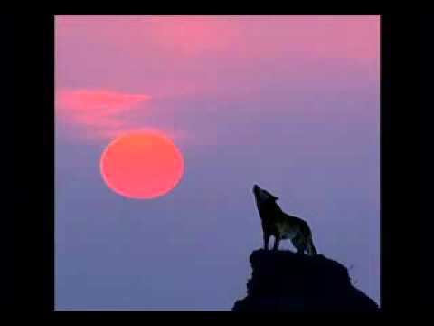 Bafalı Ali Karaova Düğünü