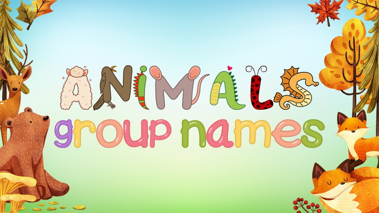 Collective Words - Animal Group Names - Vocabulary for Kids - YouTube