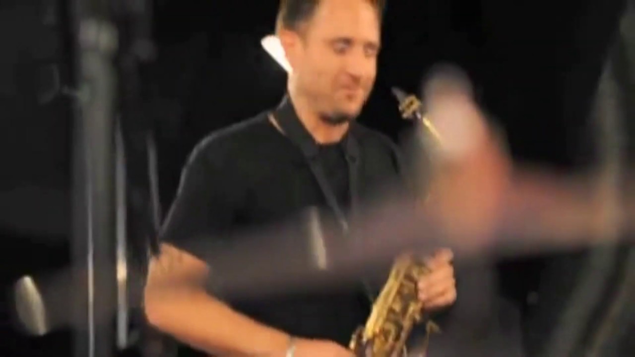 Videos | Mark Hauser