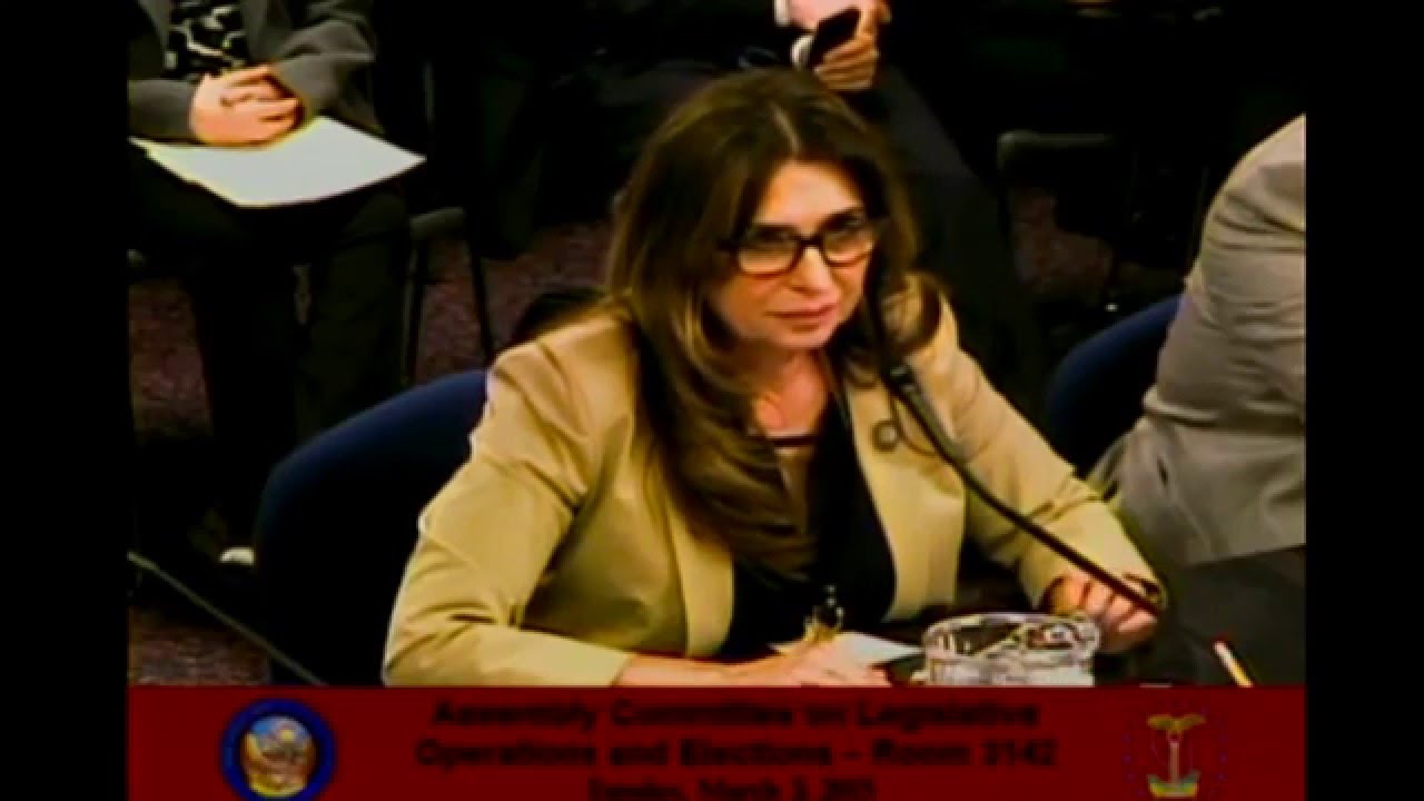 Victoria Seaman for District 6- AB177 Hearing: Assembly Legislative ...