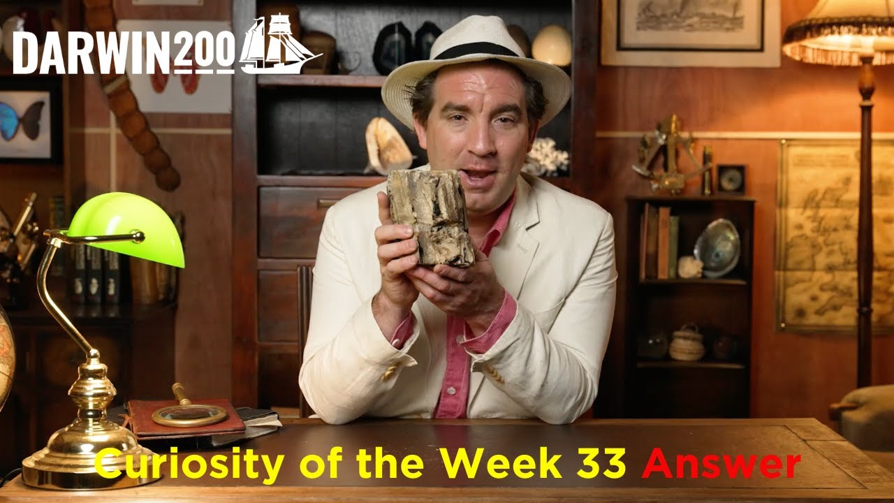 ANSWER - Curiosity of the Week 33 (Segment from World's Most Exciting ...