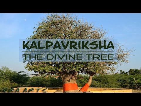Kalpavriksha (The Divine Tree)