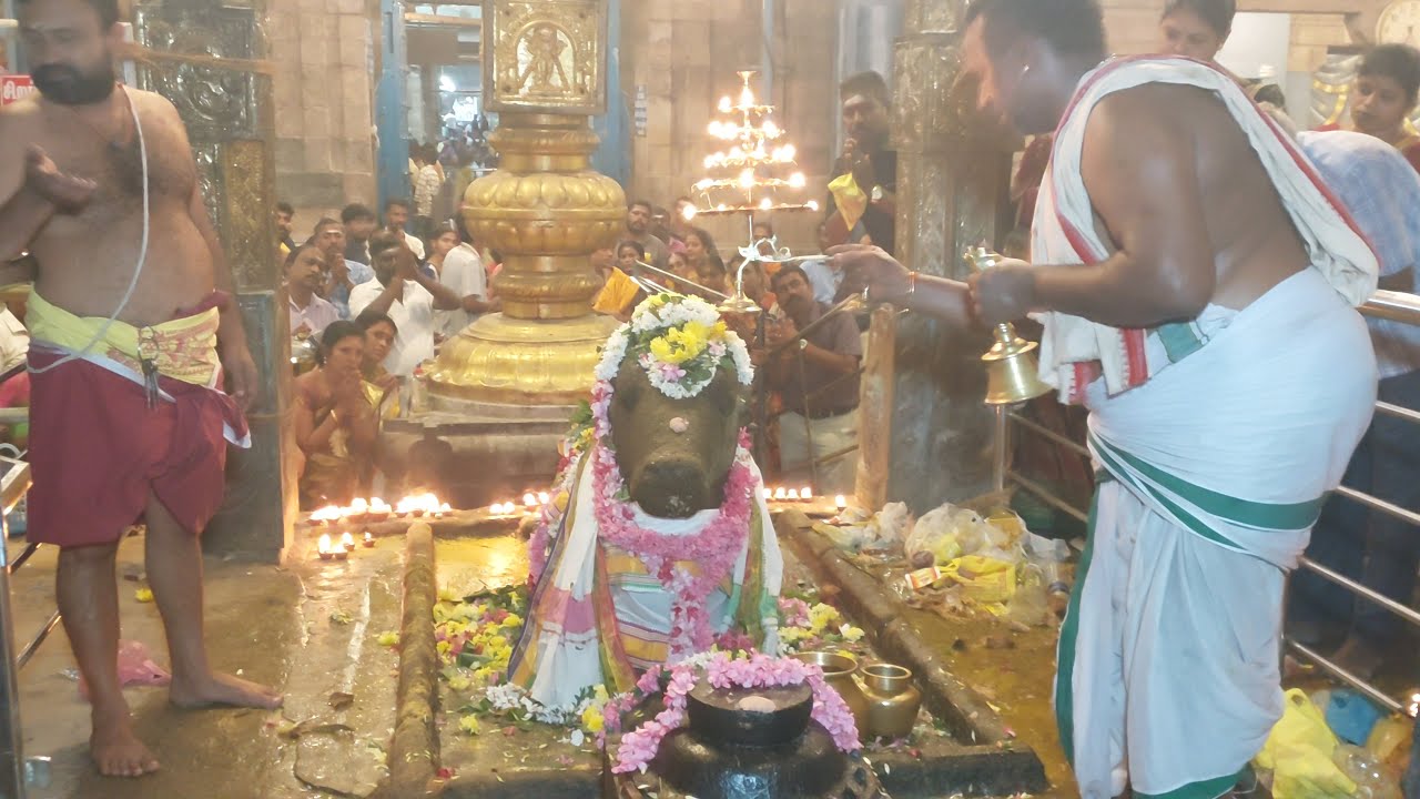 Sani Pradosham Thirunallra sani Temple - YouTube