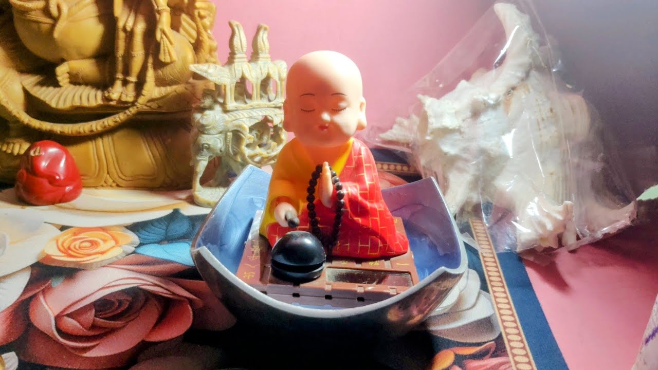 Simply tour of My showcase with a song🎤#showcase - YouTube