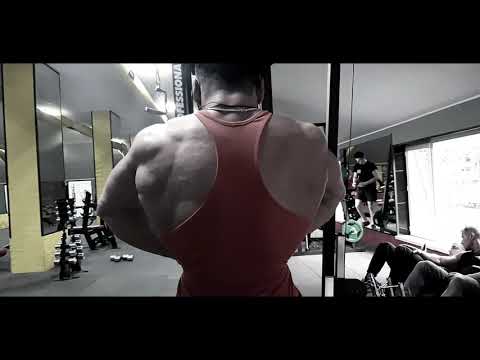 Seymur Sadiqov WOLF 04.05.2019