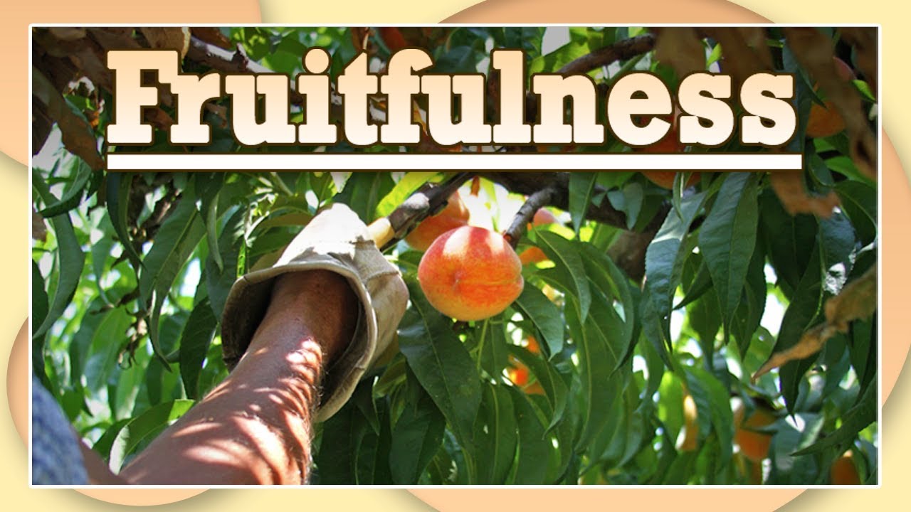 Pt. 11 - Moved By Love (Fruitfulness) - YouTube