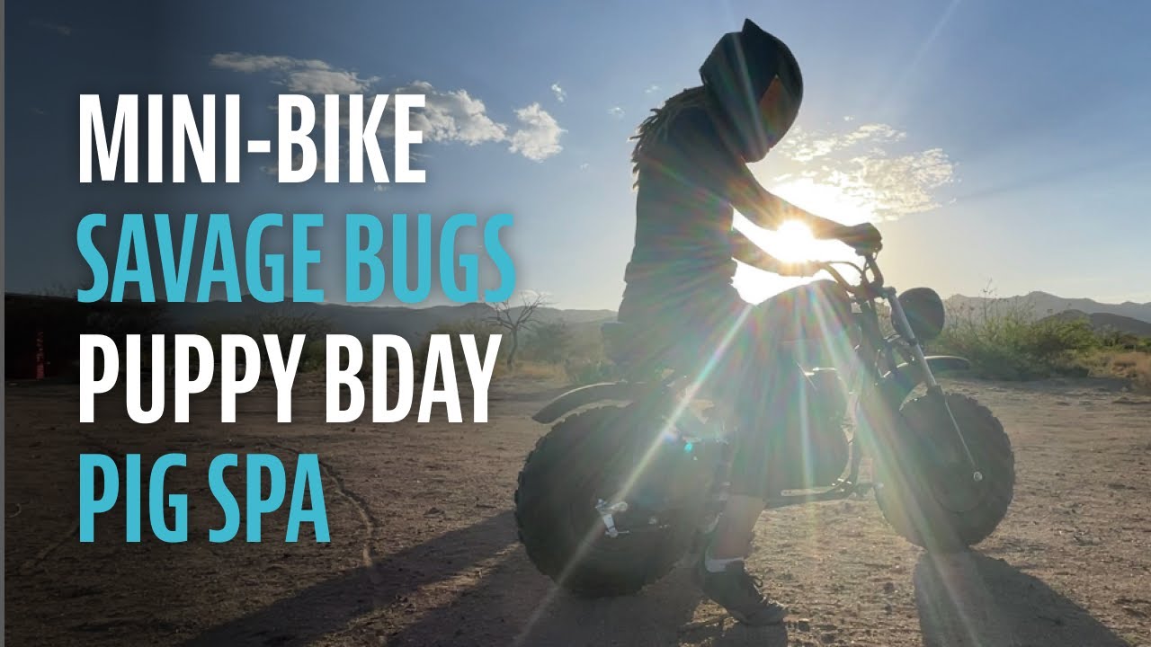 Coleman Mini Bike, Savage Bugs, Pig Spas, Shade Sails and a Solar Shed ...