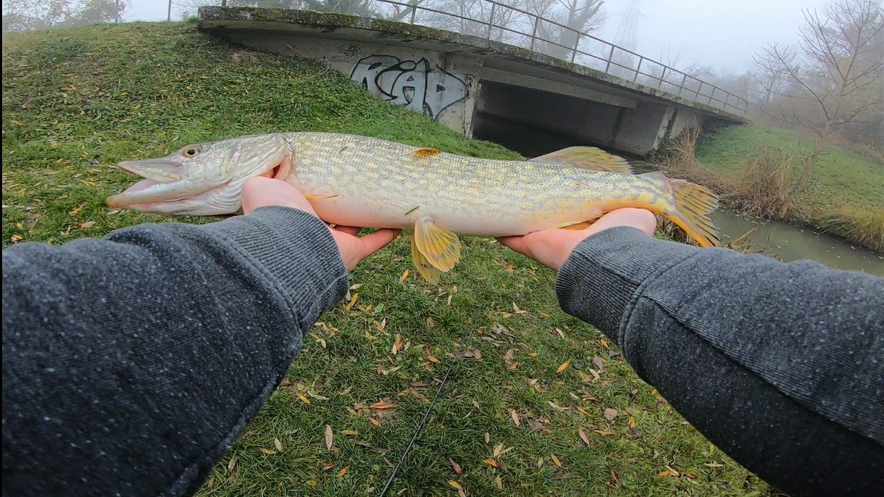 STUKA U RANO JUTRO - YouTube