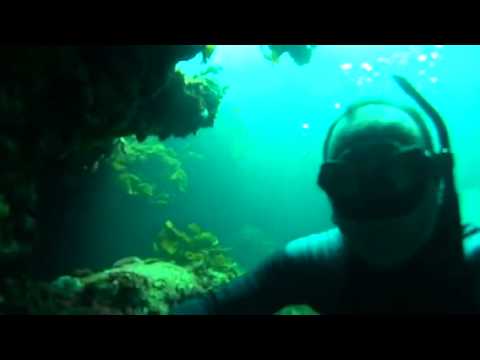 Freediving Mettams Pool Perth - YouTube