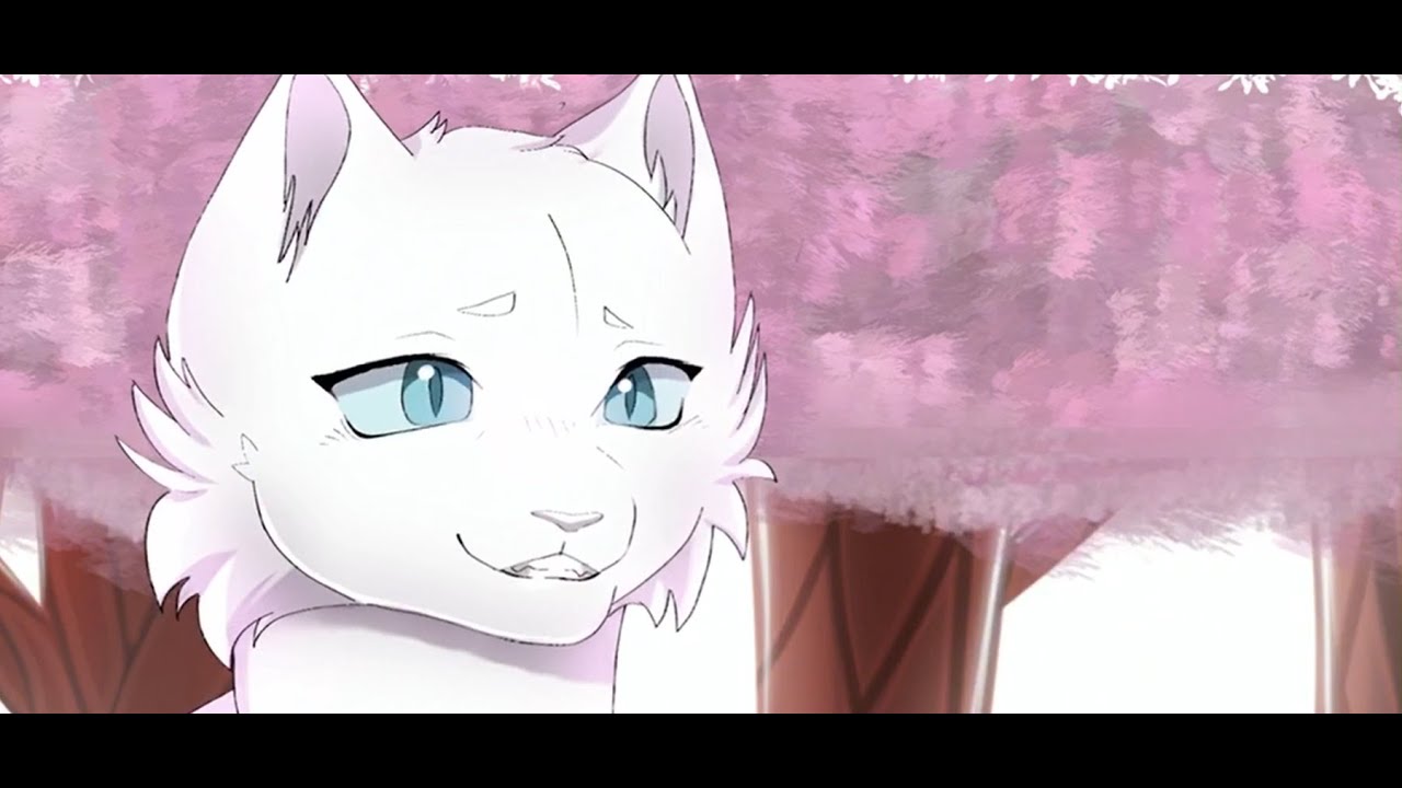 Dont Worry, Be Happy - MAP Part 5 | WARRIOR CATS | Cloudtail - YouTube