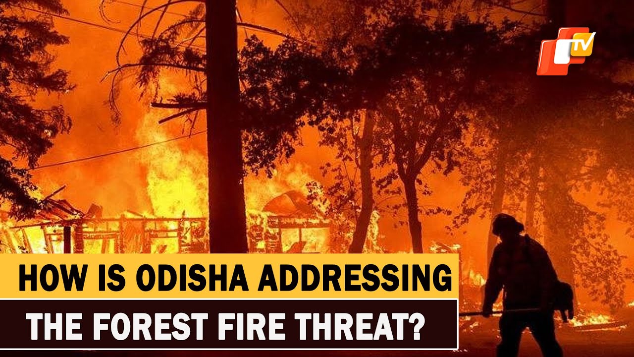 How Is Odisha Govt Addressing Forest Fire Threat? - YouTube