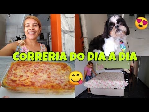 COMPRINHAS+ FIZ UMA COMIDINHA GOSTOSA: ROTINA REAL DE DONA DE CASA/  CANTINHO DA MALU