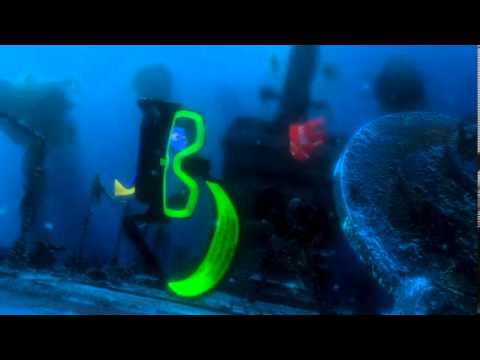 Finding Nemo Slomo 16