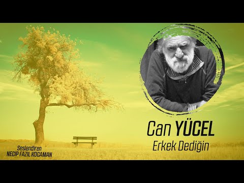 Can Yücel | Erkek Dediğin
