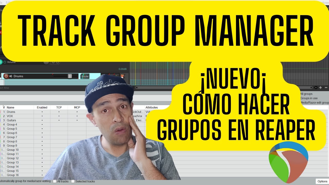 👥TRACK GROUP MANAGER nueva forma de agrupar tracks en REAPER | # ...