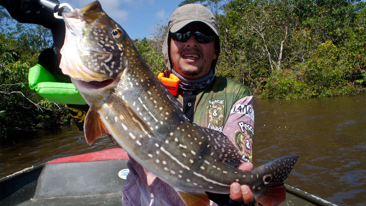 Pesca en el Rio Vichada - YouTube