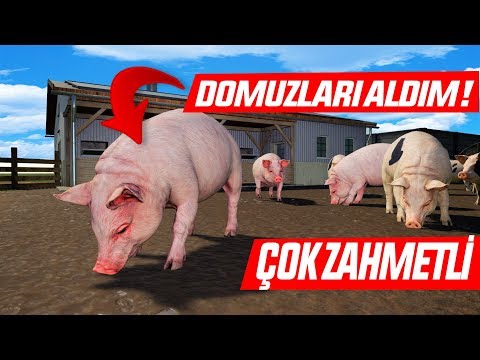 🐷 DOMUZ İŞİ ! ÇOK ZAHMETLİ 🐷 FARMİNG SİMULATOR 2019 TÜRKÇE OYNANIŞ
