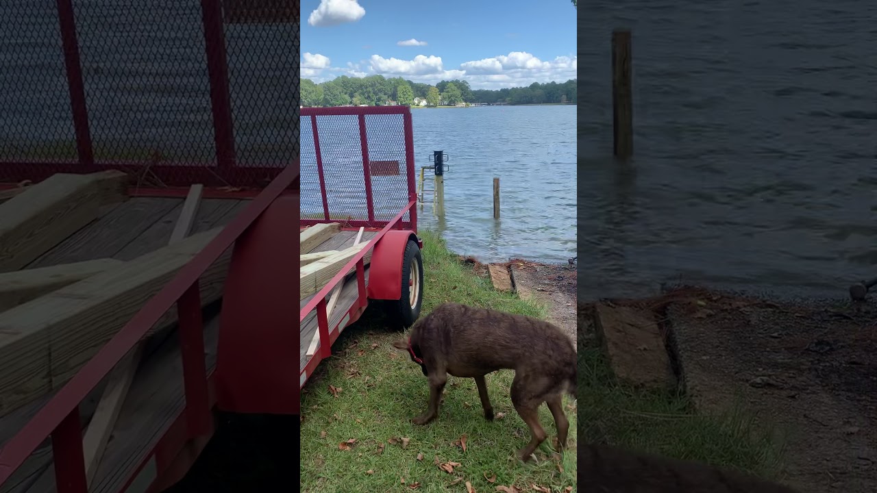 Seawall repair with homemade pile driver. - YouTube