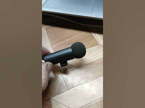 ТЕСТ ПЕТЛИЧКИ - YouTube