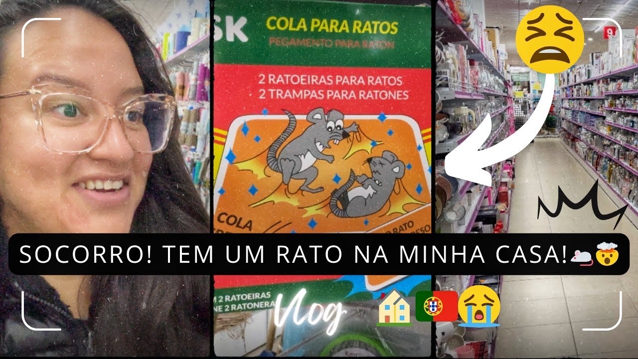 TEM MESMO UM RATO NA MINHA CASA EM PORTUGAL 🇵🇹 RATO PORTUGUÊS! 🐁🤣 ...