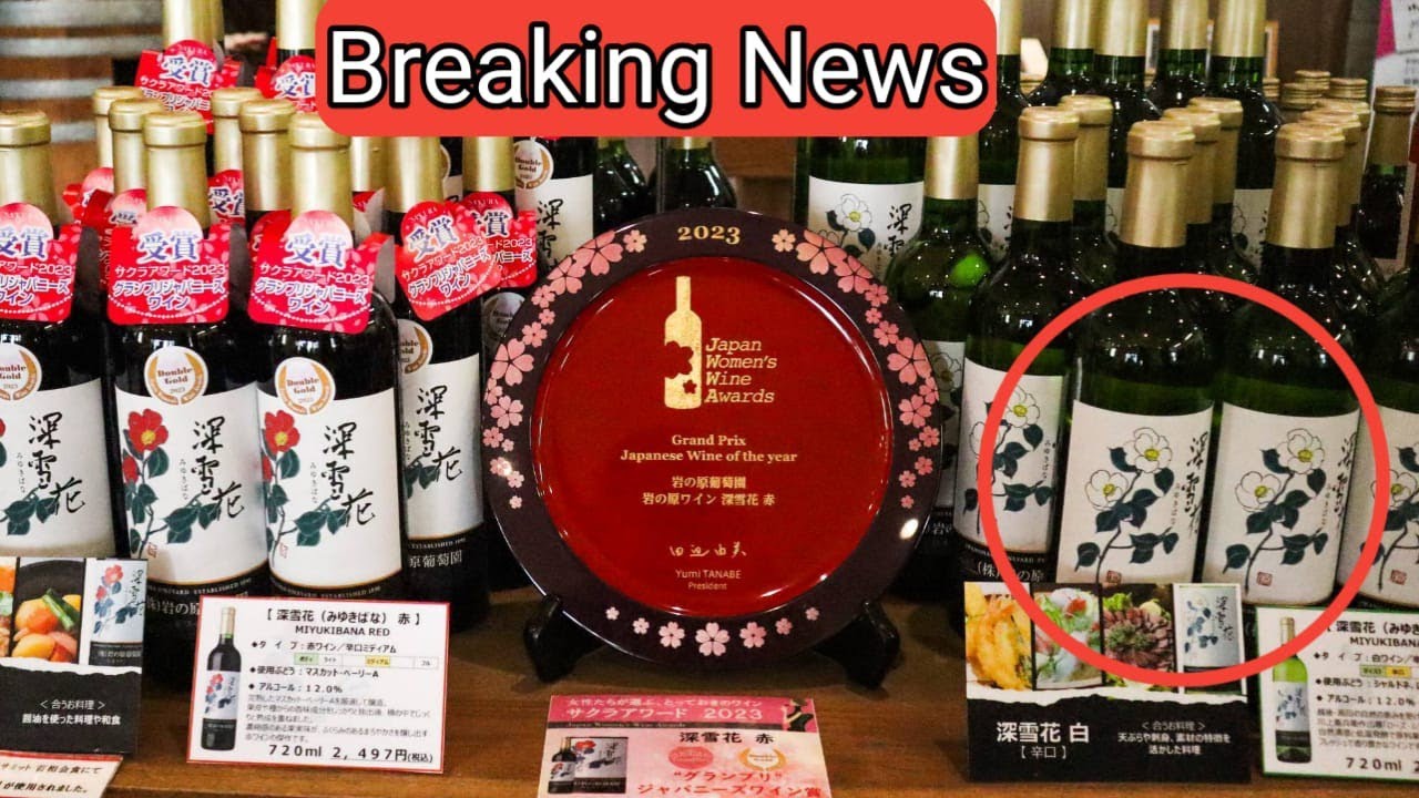 Breaking News/At Japan’s first winery, the country’s oldest grape lives ...