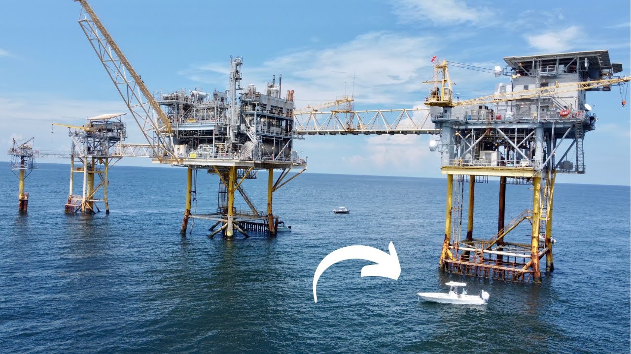 These UNDERRATED Fish Were EVERYWHERE Around This Rig! *Catch, Clean ...