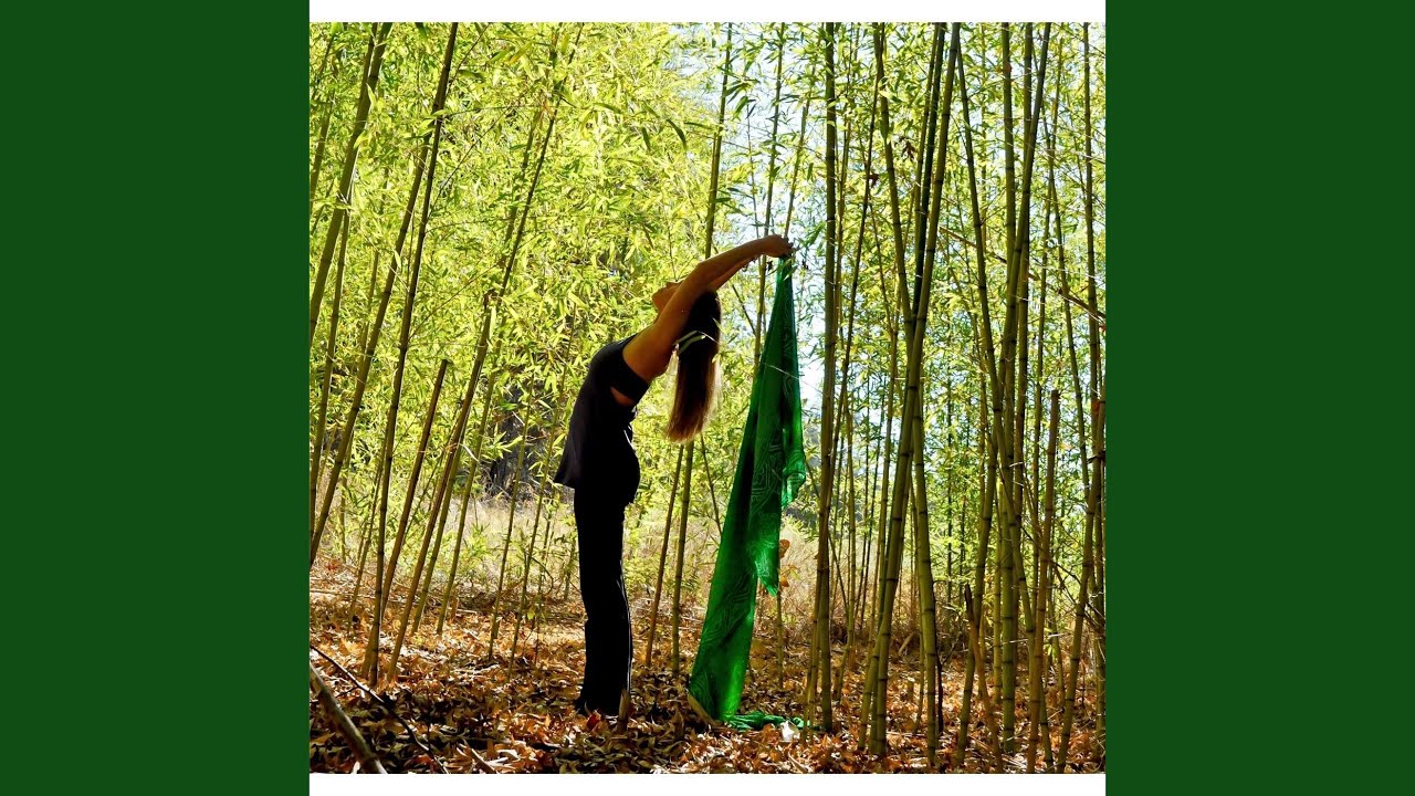 Calming Beach Guided Visualization - YouTube