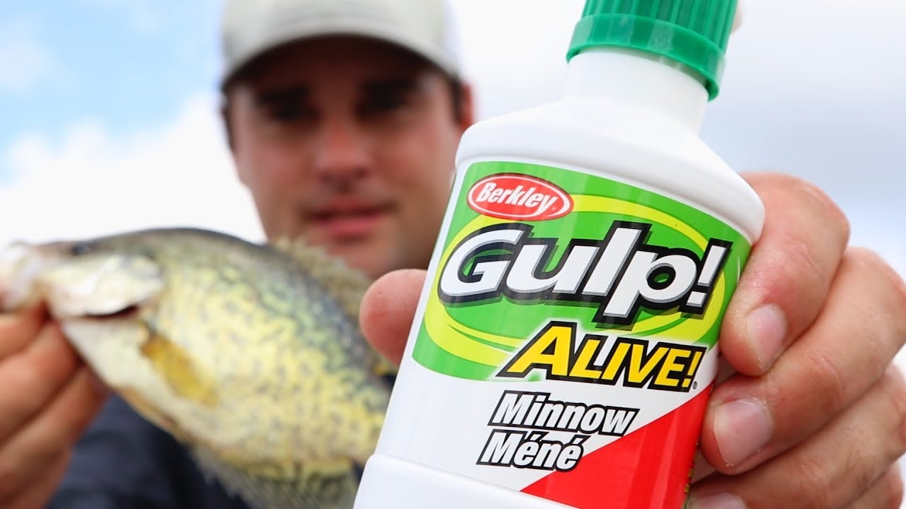 Does Berkely Gulp Alive MINNOW catch Crappie? (crappie fishing) Ep.13 ...