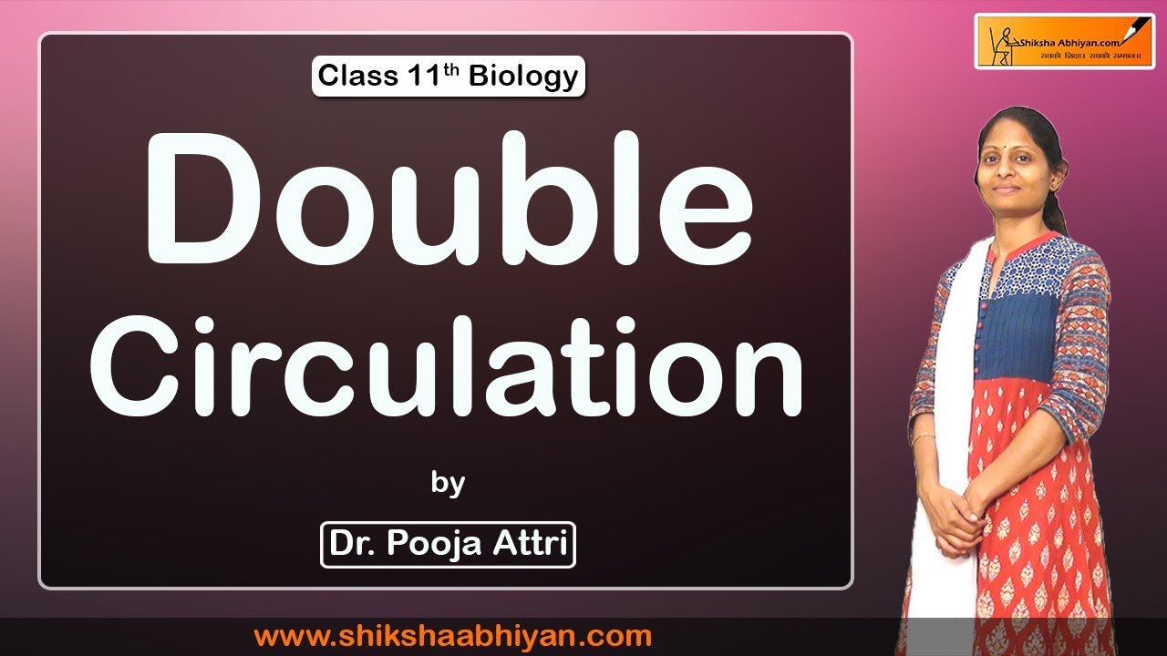 Biology Body Fluids & Circulation ( Double Circulation ) - #CBSE Class ...