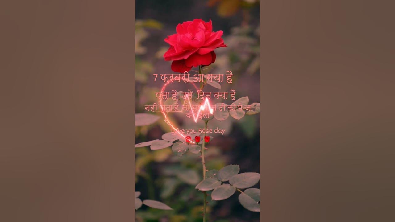 happy Rose day - YouTube