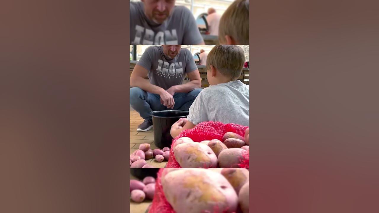 The Kind Stranger's Gift 🦉👞 ️ # short # shorts - YouTube