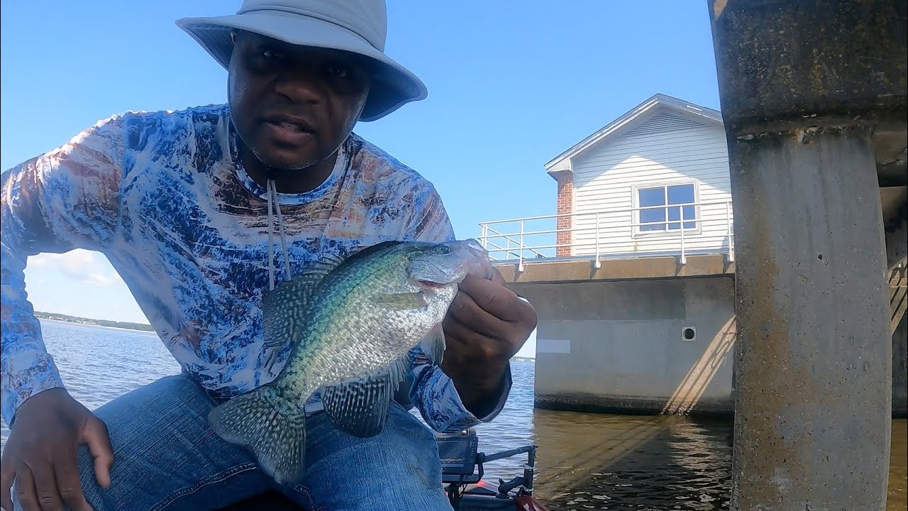 Crappie Loaded in the Lake - YouTube