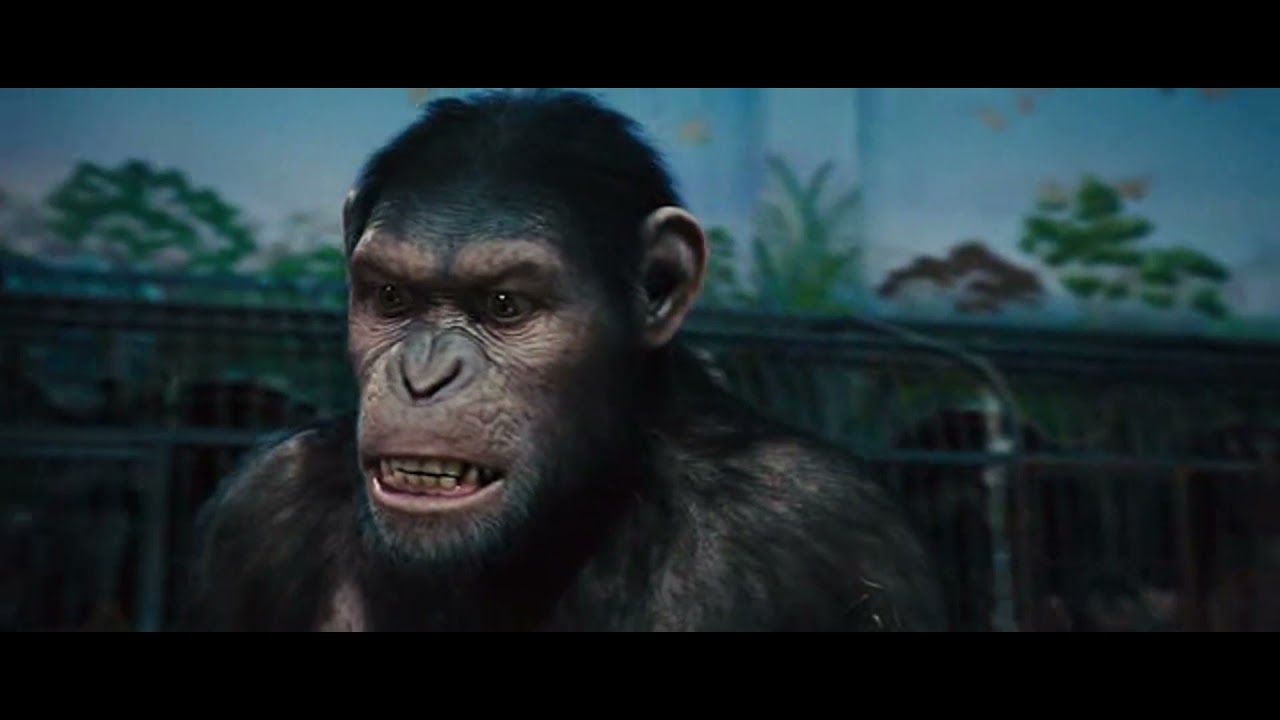 maymunlar cehennemi sezar hayır - YouTube