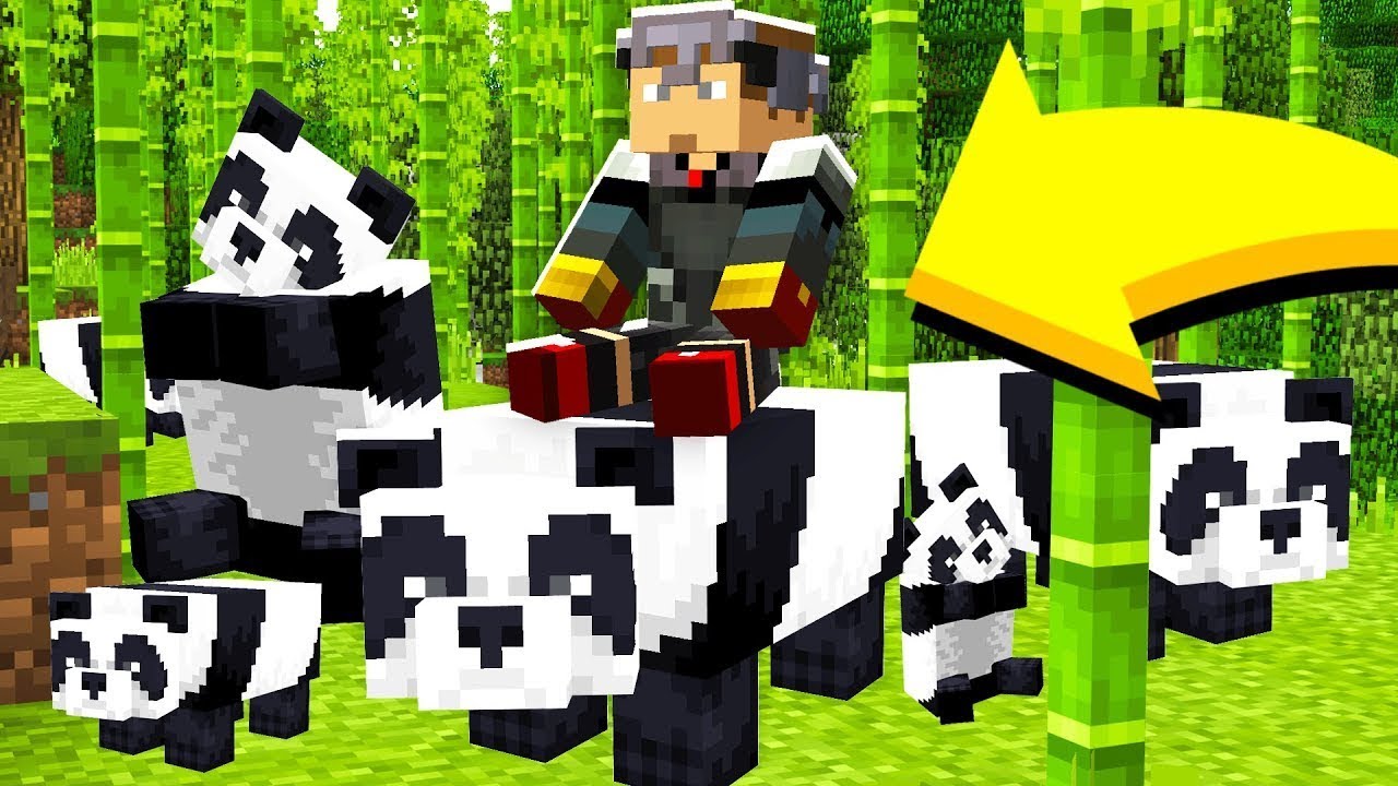 FINALLY PANDA IN MY SMP II LIVE MINECRAFT II - YouTube