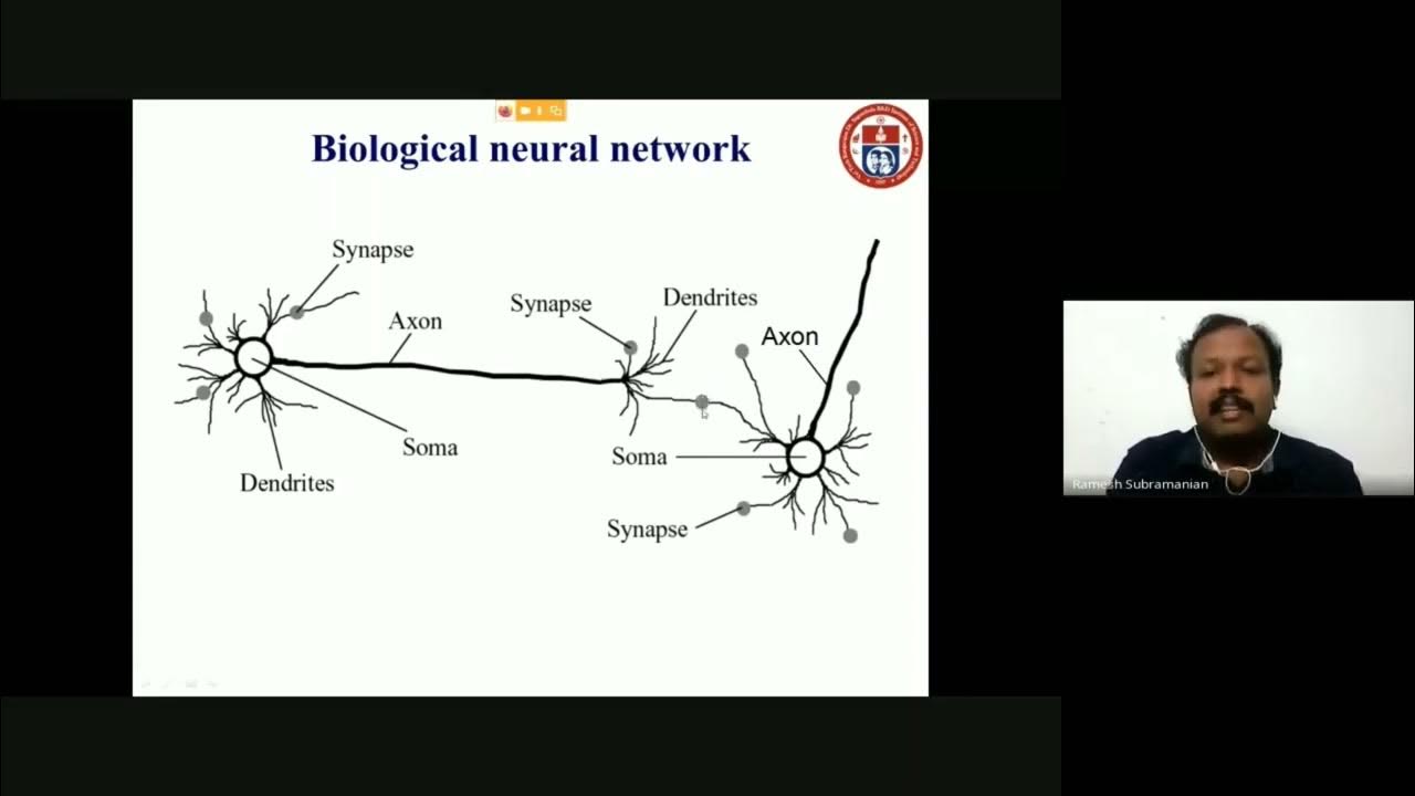 Introduction to Artificial Neural Network using MATLAB - YouTube