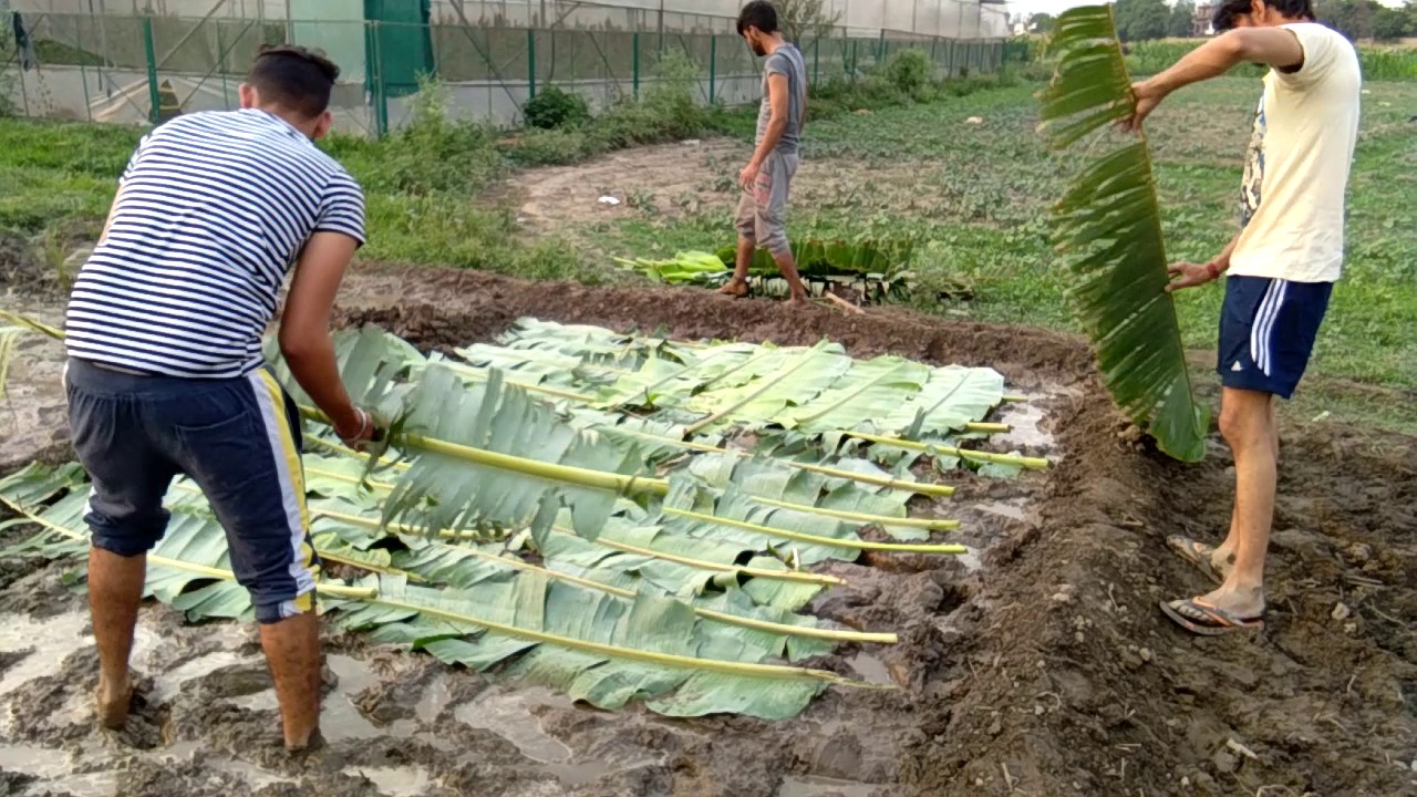 Part 11 nursery preparation dapog method - YouTube