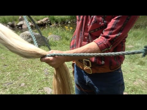How to Lead and Tail a Packhorse String