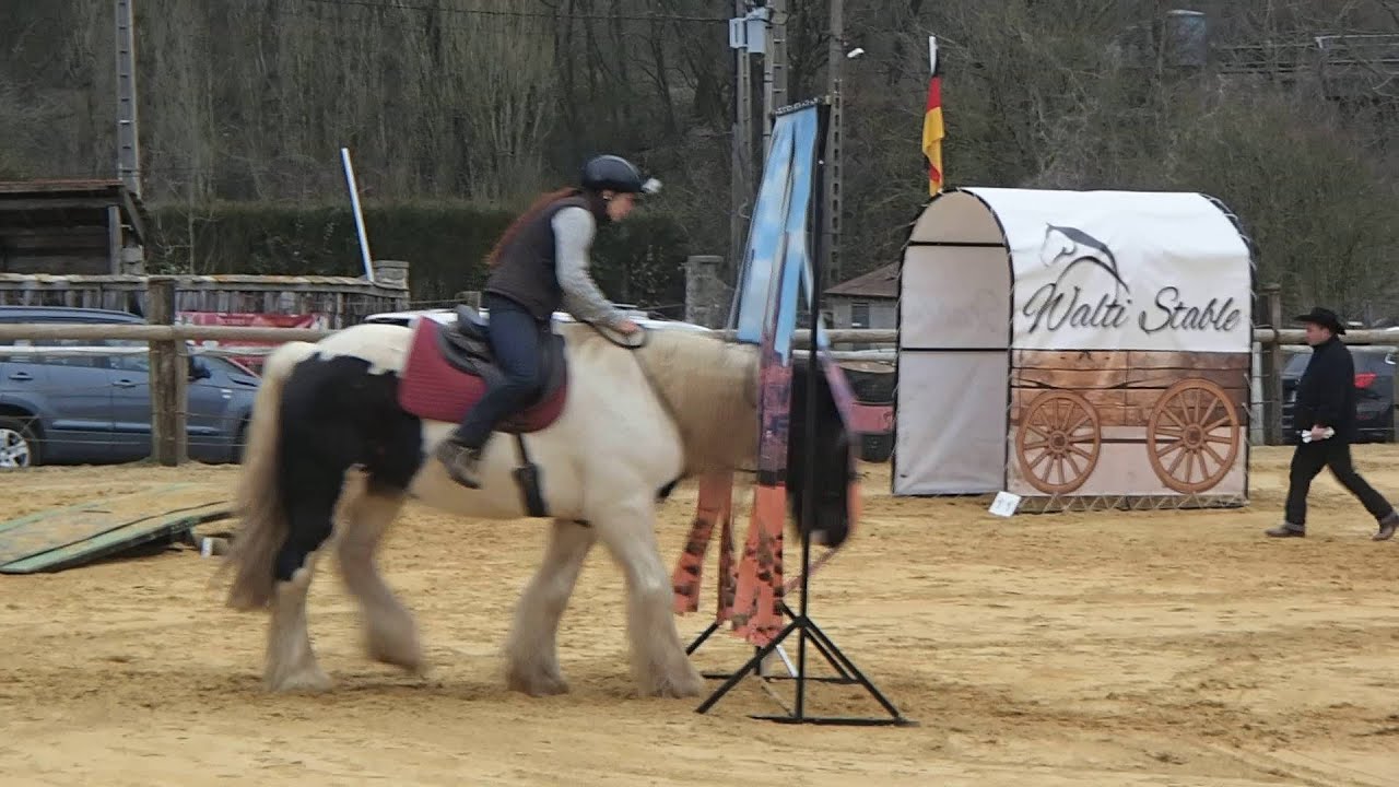 Cowboy extreme race - Walti Stable - 2ème parcours - YouTube