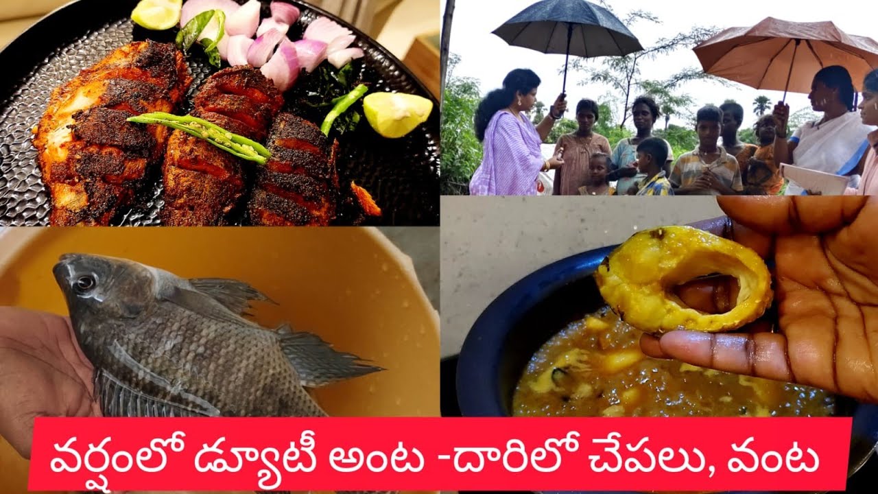 వర్షంలో డ్యూటీ,జిలేబి చేపల ఫ్రై , గండి చేపల పులుసు👌🏼||cooking fish ...