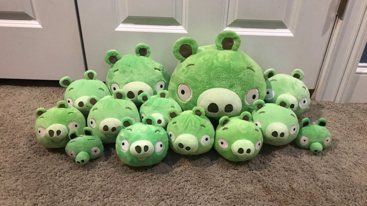 Woah! How Many Minion Pigs are they?! - YouTube