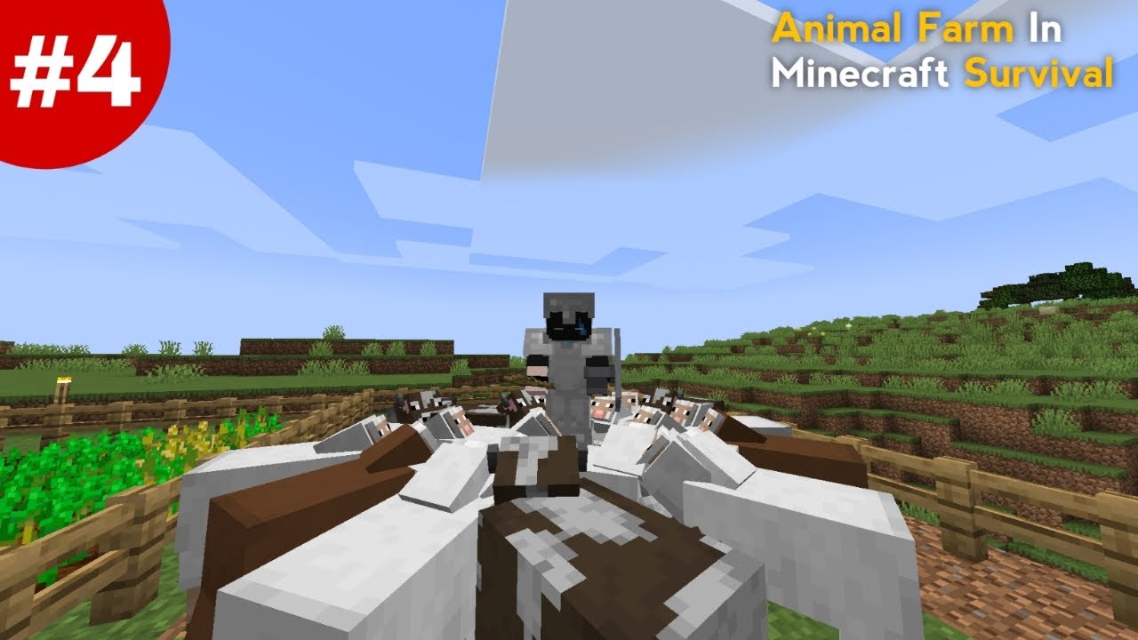 Animal Food Farm In Minecraft Survival - YouTube