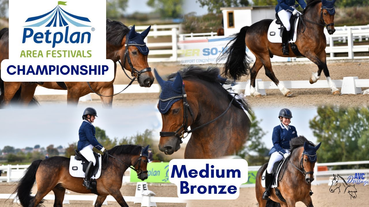 PetPlan Area Festival Championships 2025 - YouTube