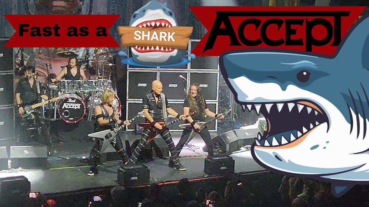 Accept Fast as a Shark San Francisco 2024 - YouTube