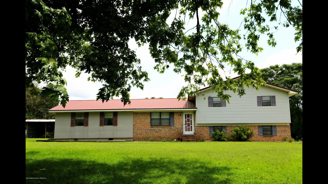 Homes for sale - 4085 County Rd 946, Logan, AL 35098 - YouTube
